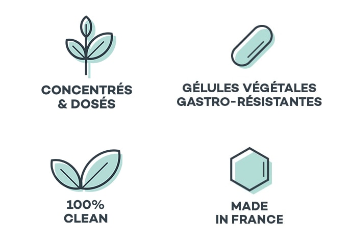 DLAB Brand Universe 1