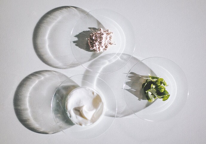 SISLEY Présentation