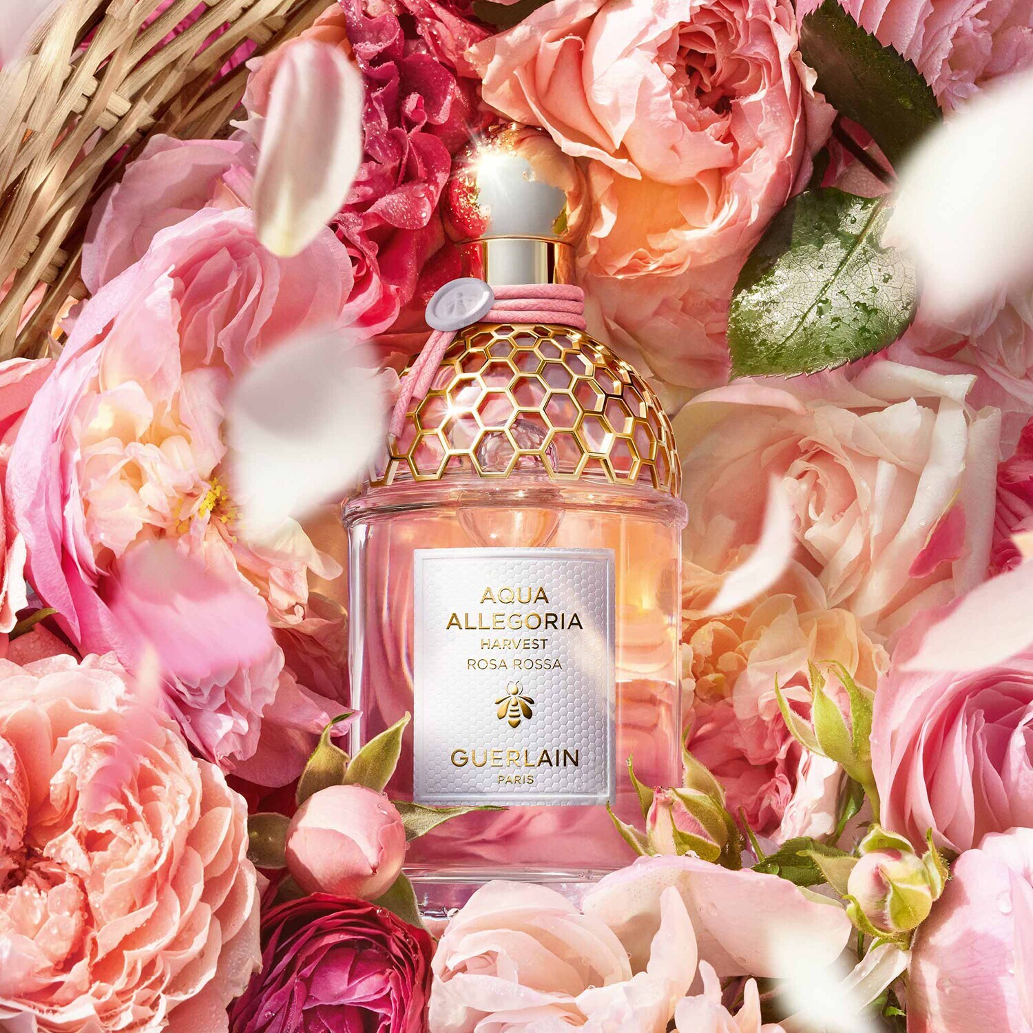 Aqua Allegoria Harvest Rosa Rossa - Eau De Toilette GUERLAIN ≡ SEPHORA