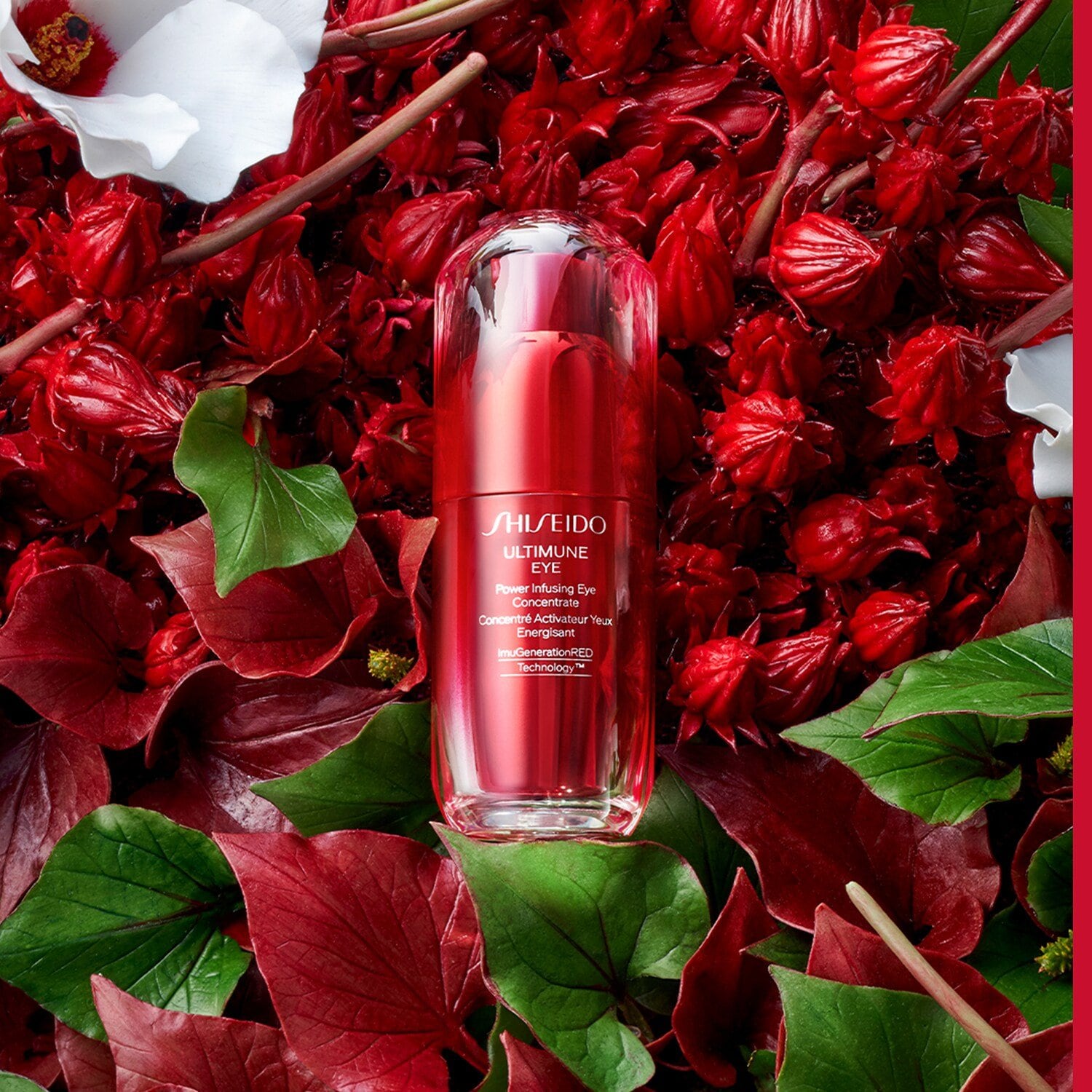 Ultimune Eye Power Infusing Eye Concentrate - Göz kremi SHISEIDO ≡ SEPHORA