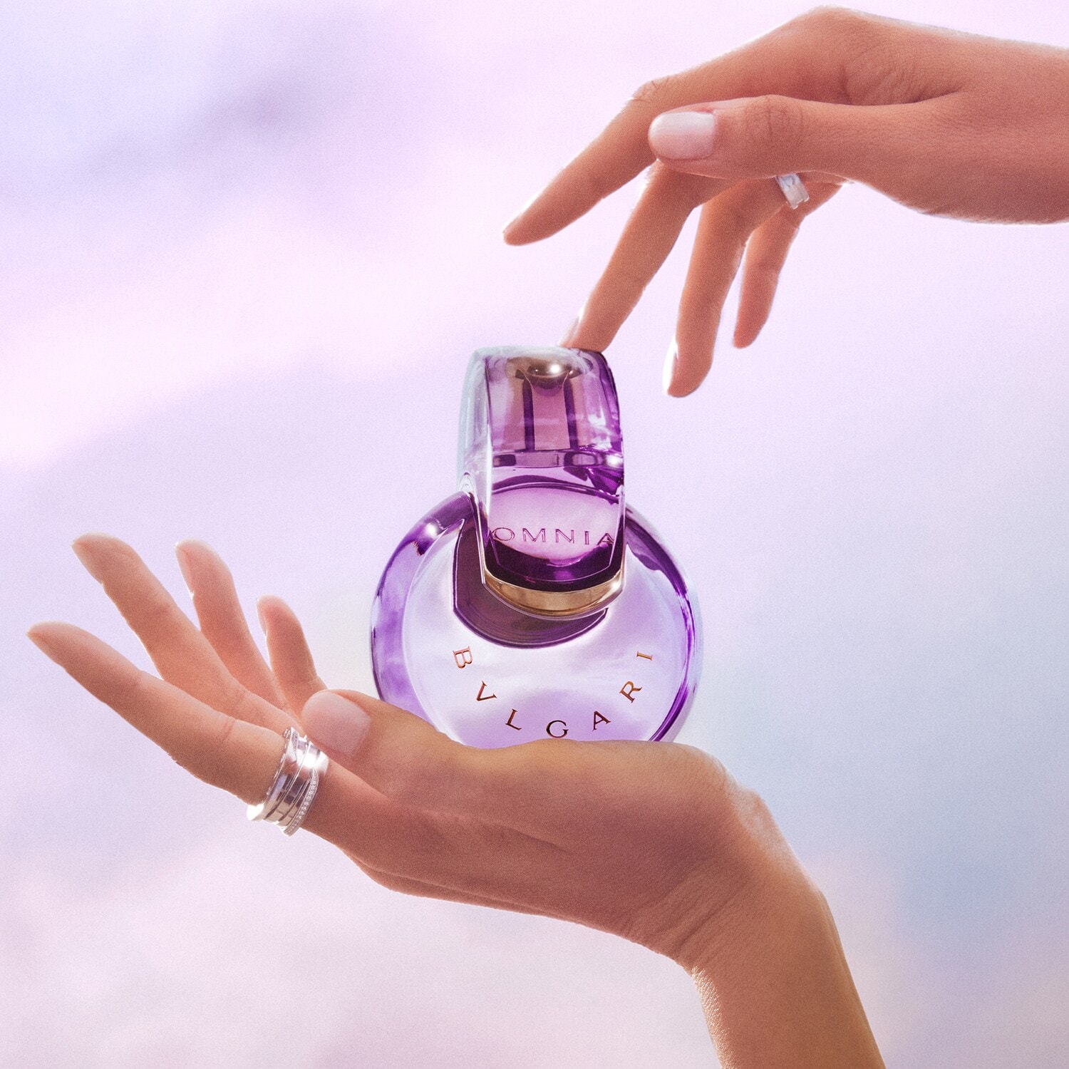 Omnia Amethyste - Eau De Toilette BVLGARI ≡ SEPHORA