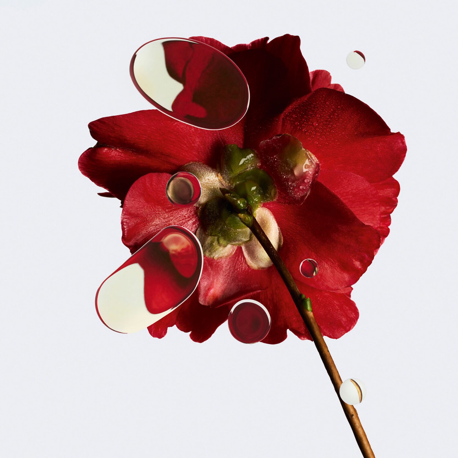 N°1 DE CHANEL L'EAU ROUGE - Canlandırıcı Mist CHANEL ≡ SEPHORA