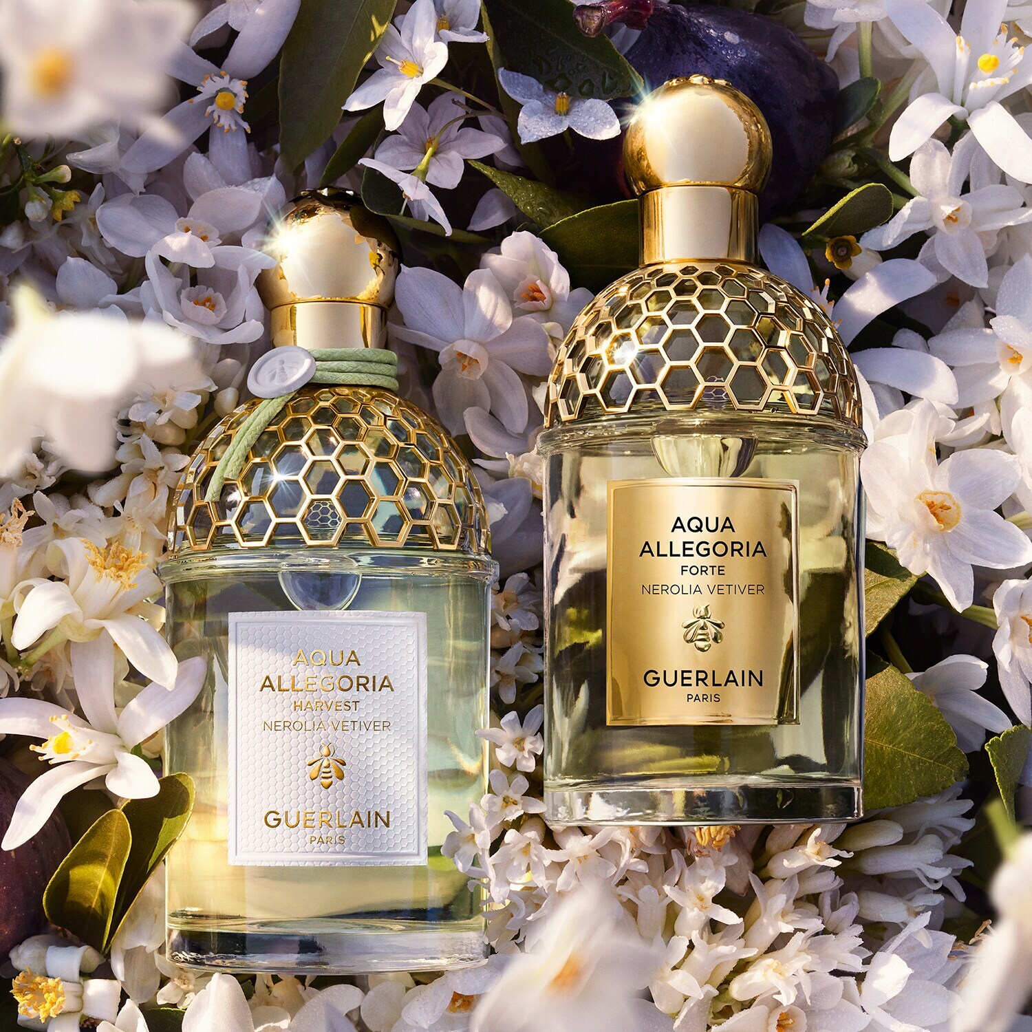 Aqua Allegoria Harvest Nerolia Vetiver - Eau De Toilette GUERLAIN ≡ SEPHORA