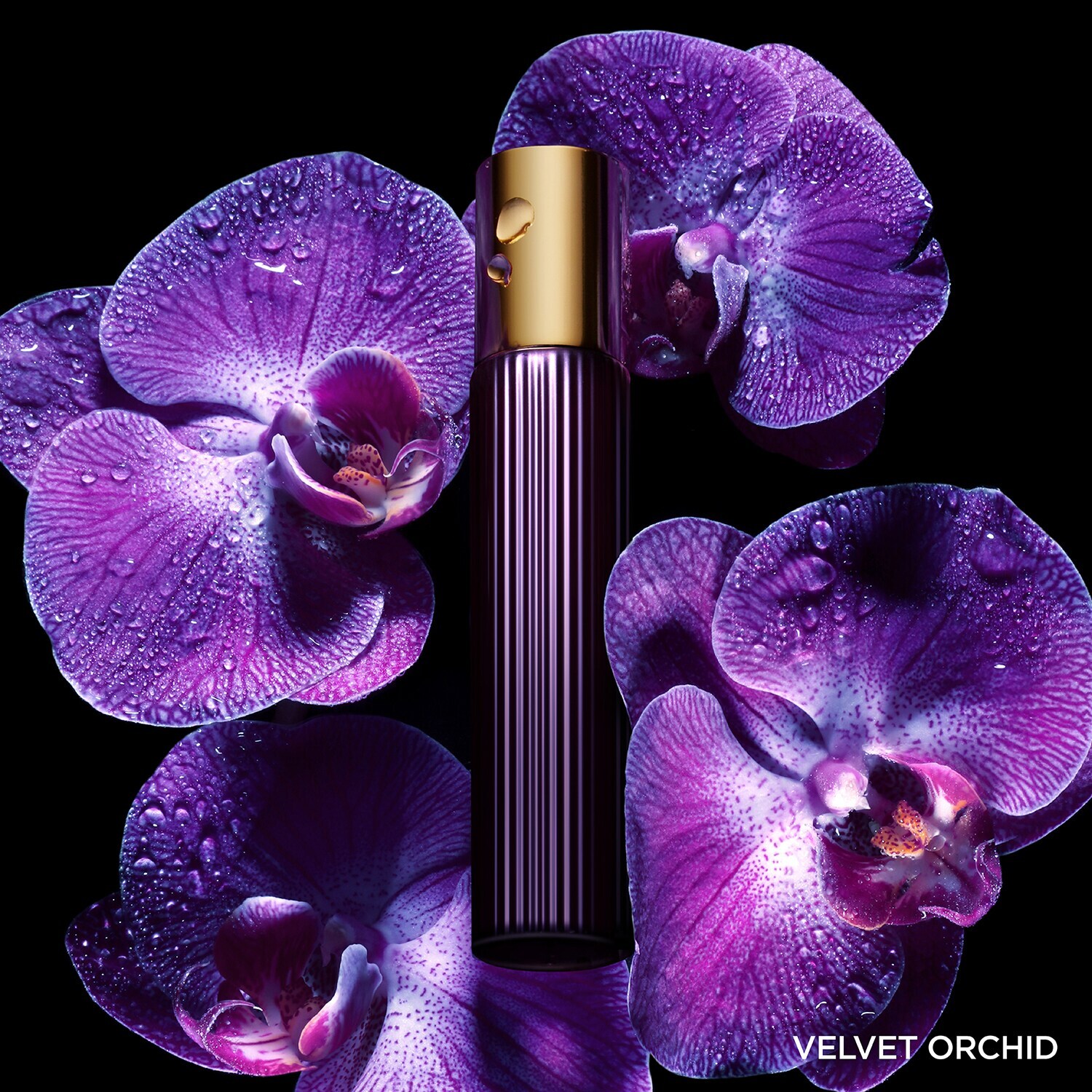 Tom Ford Velvet Orchid Eau de Parfum ≡ Sephora KSA