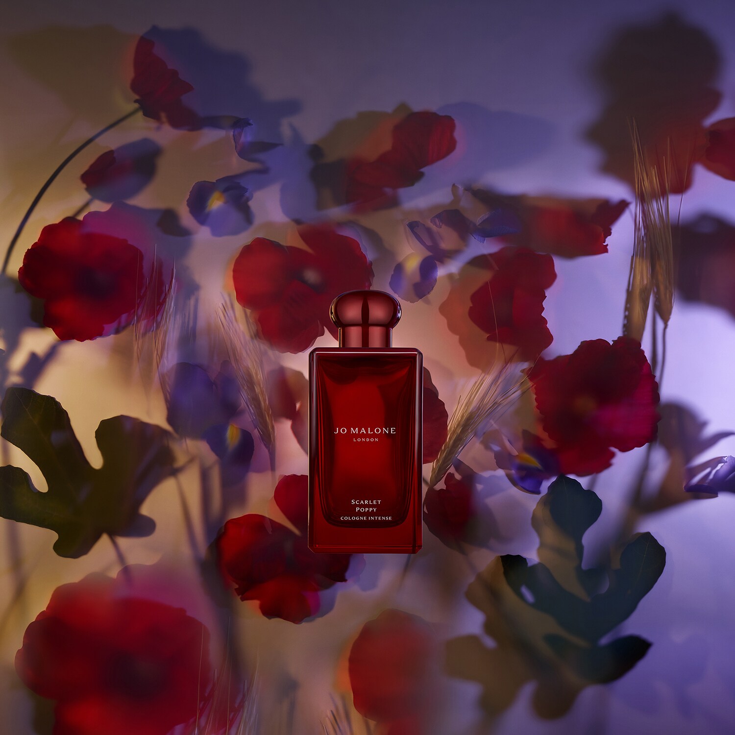 Scarlet Poppy - Cologne JO MALONE LONDON ≡ SEPHORA