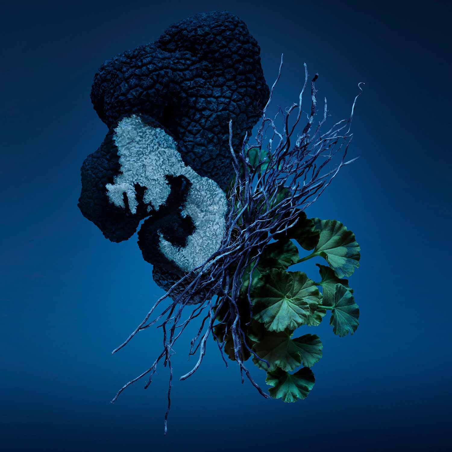 Bad Boy Cobalt-Eau De Parfum CAROLINA HERRERA ≡ SEPHORA