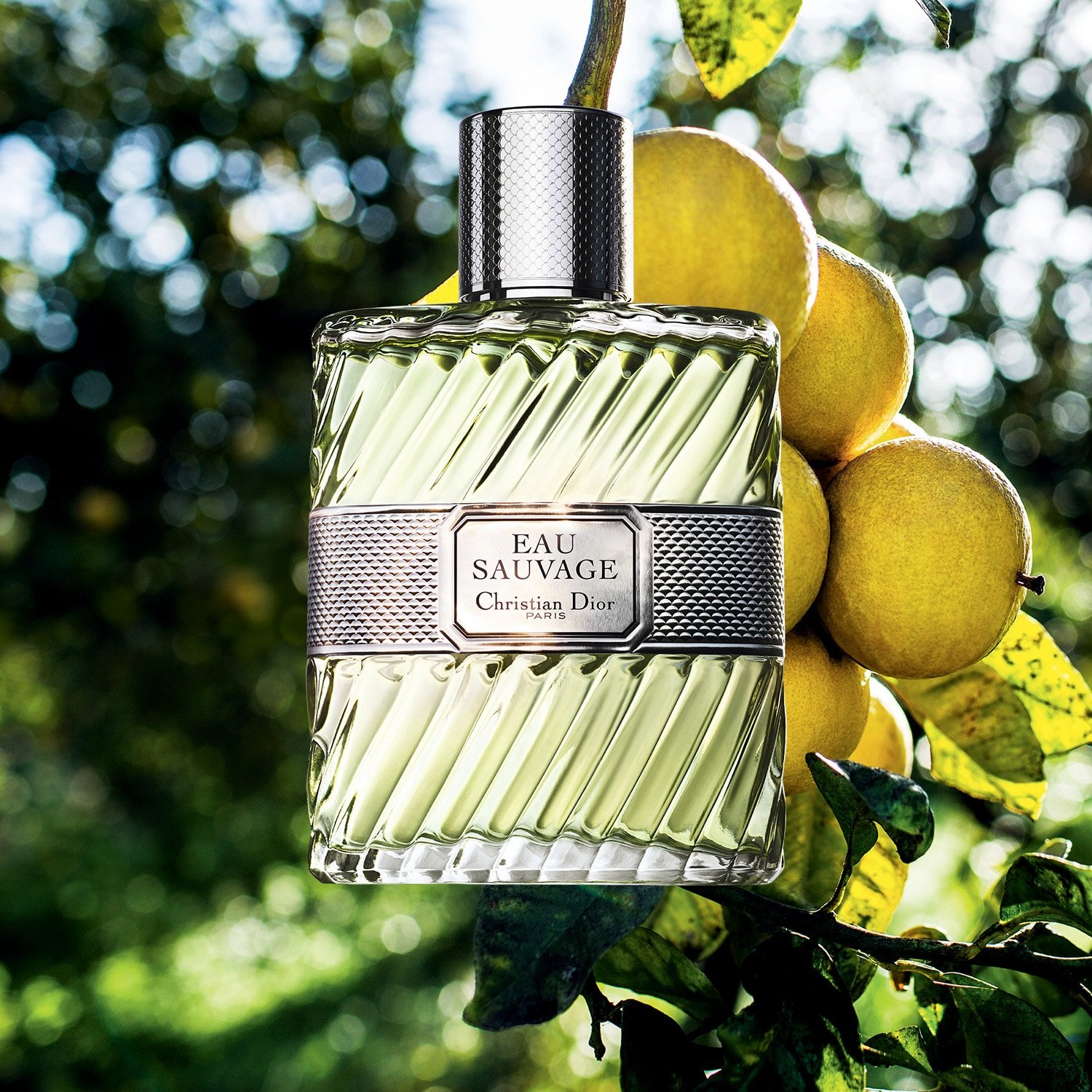 Eau Sauvage - Eau de Toilette DIOR ≡ SEPHORA