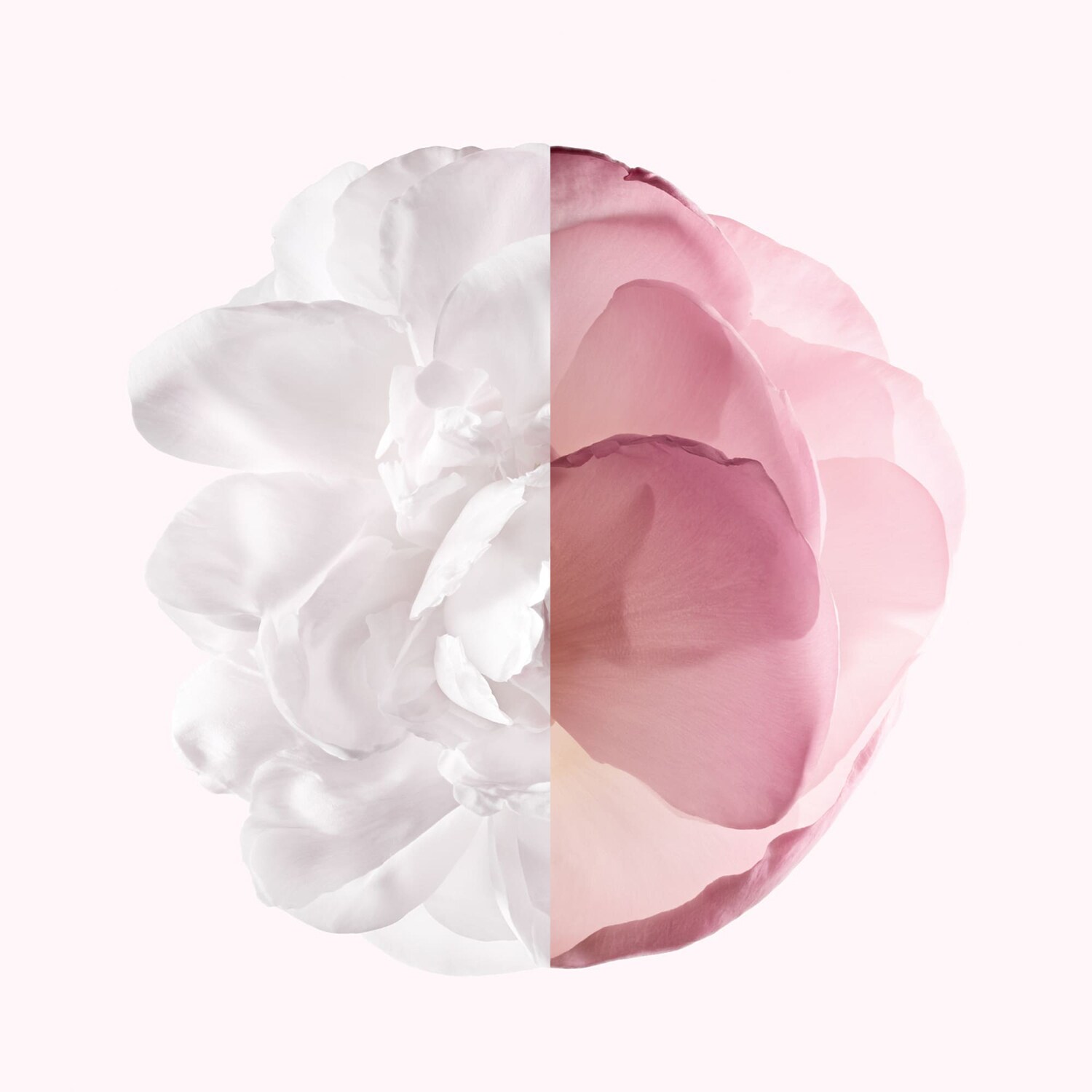 Irrésistible Very Floral de Givenchy - Eau de Parfum GIVENCHY ≡ SEPHORA